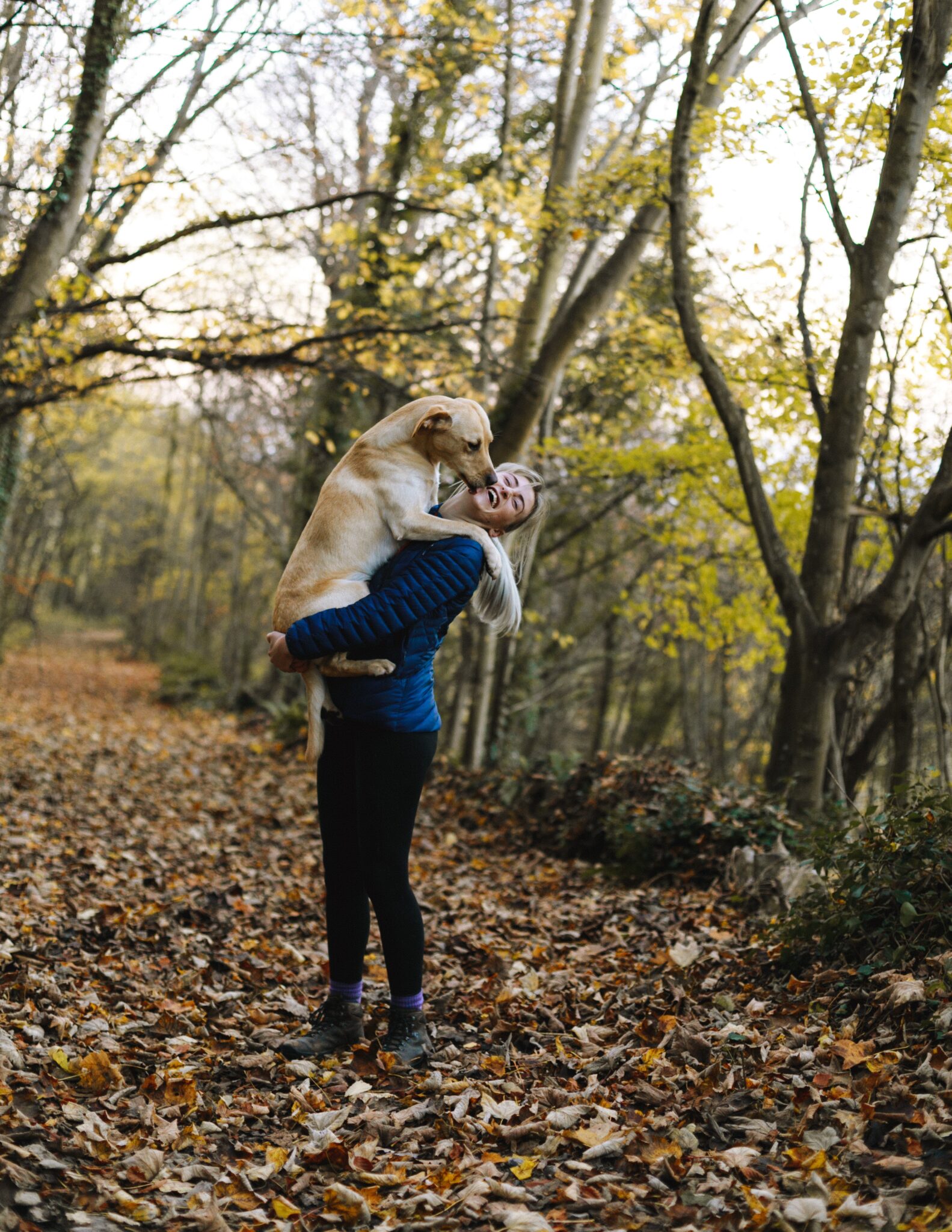 The Perfect Dog - All Things D.O.G.