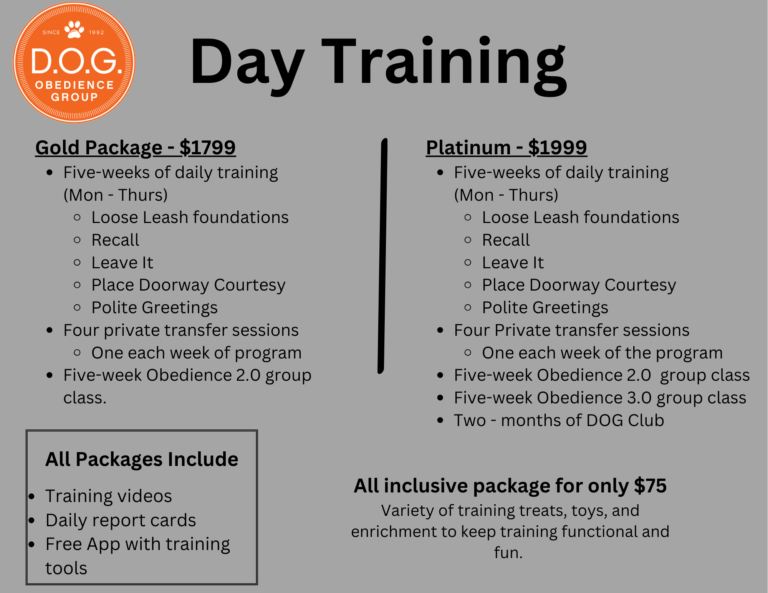 Day Training - All Things D.O.G.